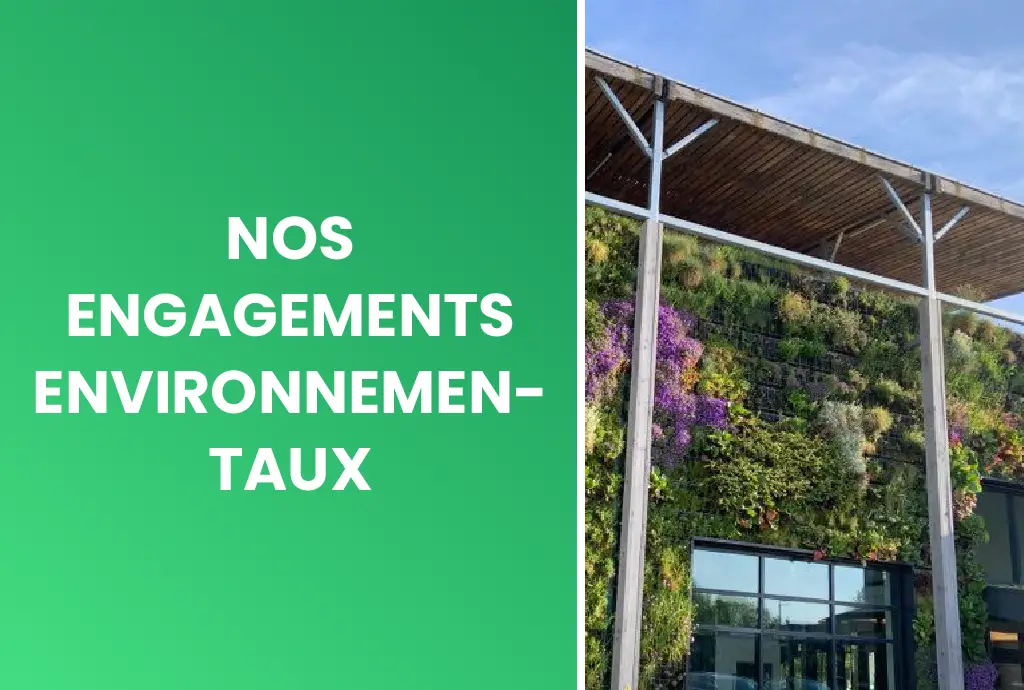Nos engagement environnementaux : Solidarité, Respect, Intégrité - SYD Digital Care